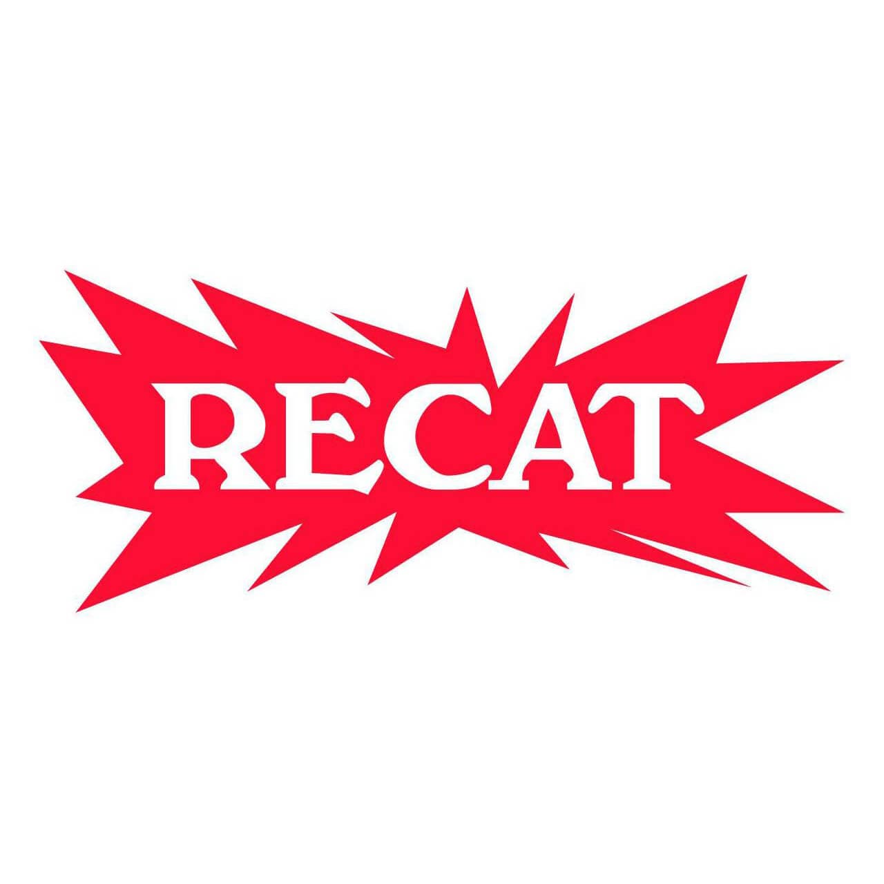 Recat en Santaigo, recambios para electrodomésticos